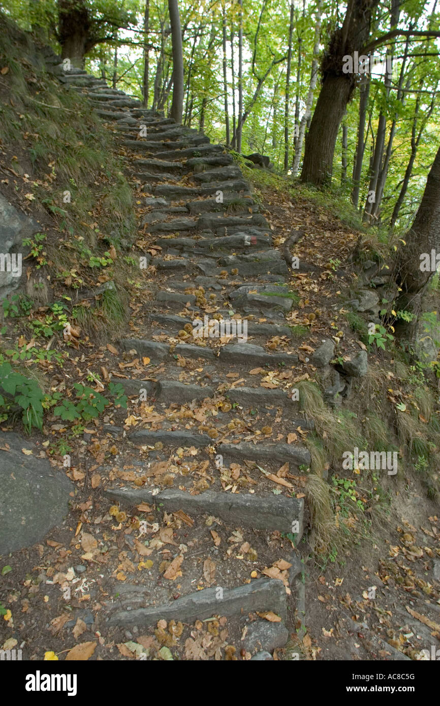 Stone steps of path through the chestnut woods of Savogno, Sondrio ...
