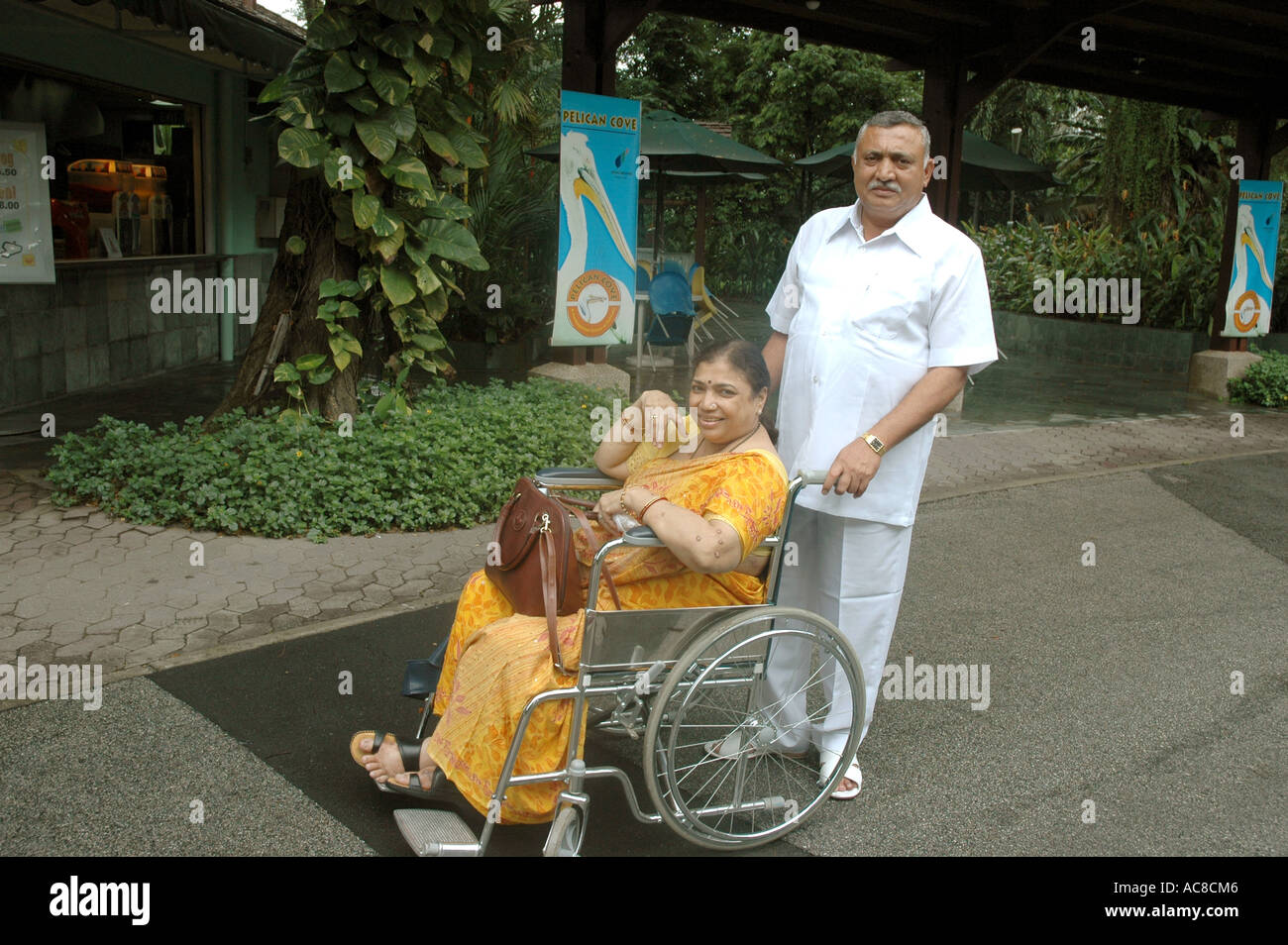 Handicapped bird hi-res stock photography and images - Alamy