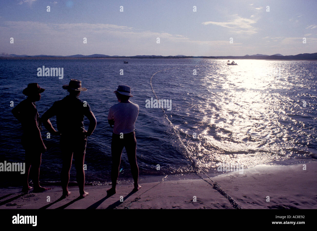 research scientists work in the field collecting specimines queensland ...