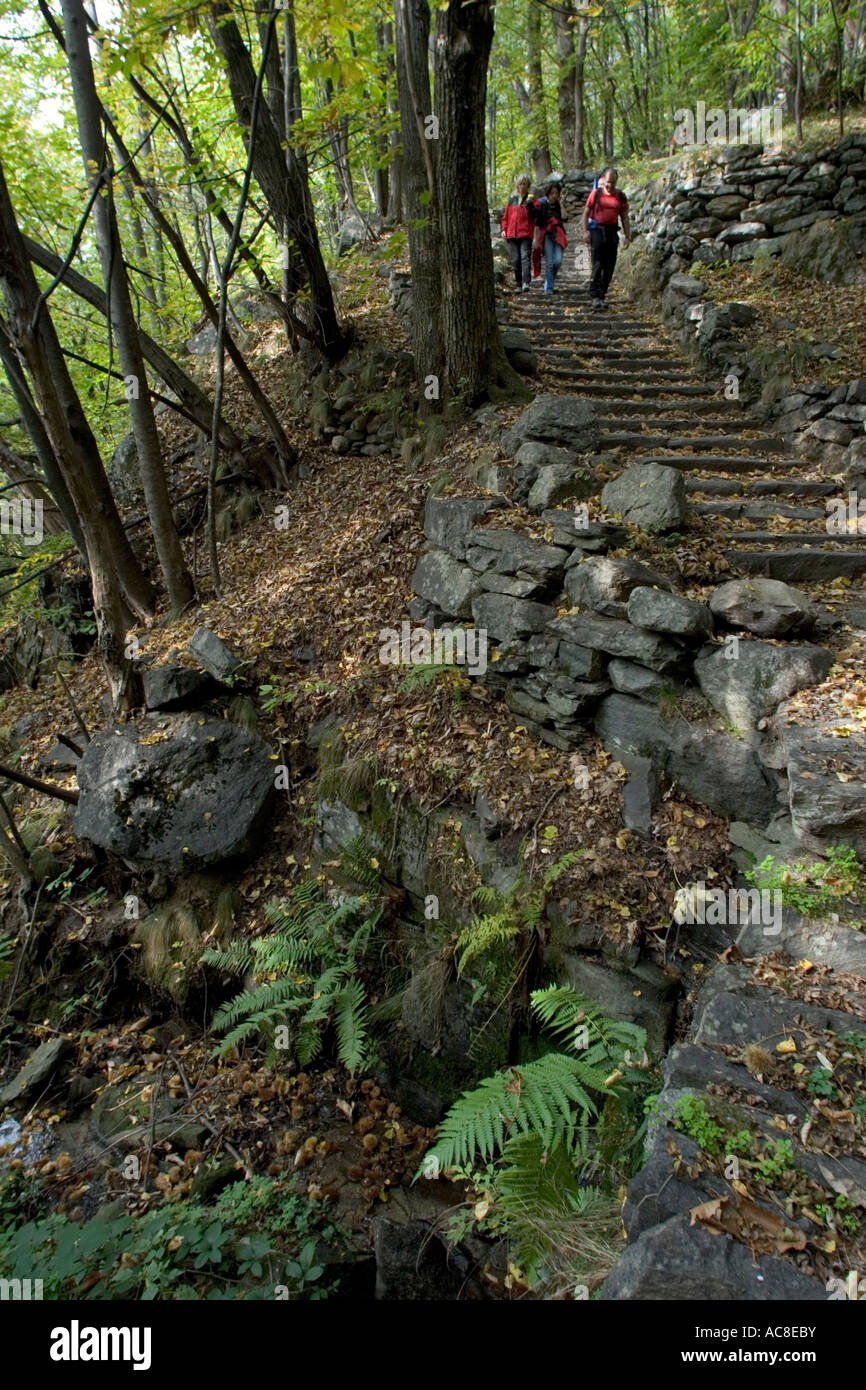 Group walking down steps of path through the chestnut woods of Savogno ...