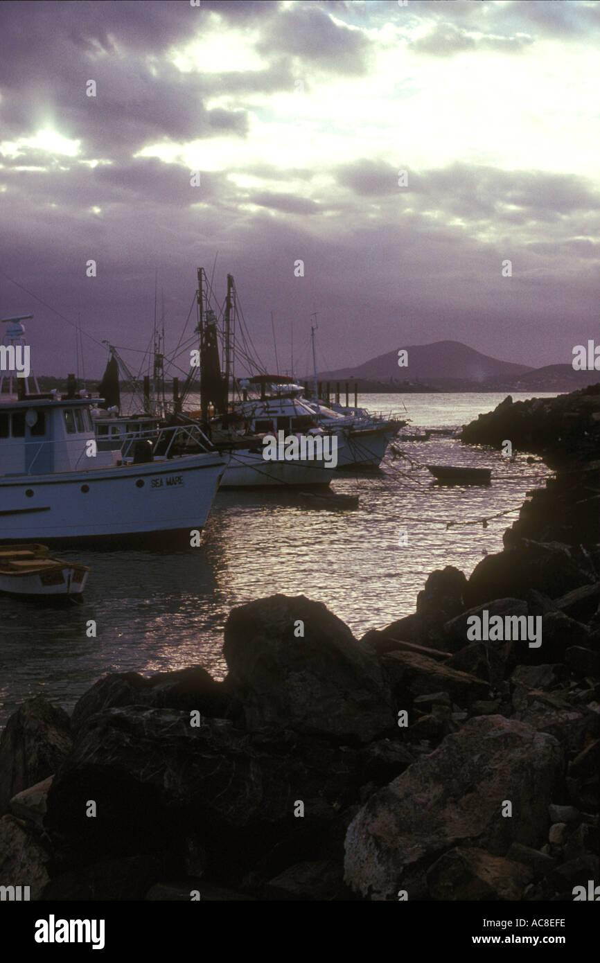 Scallop trawlers hi-res stock photography and images - Alamy