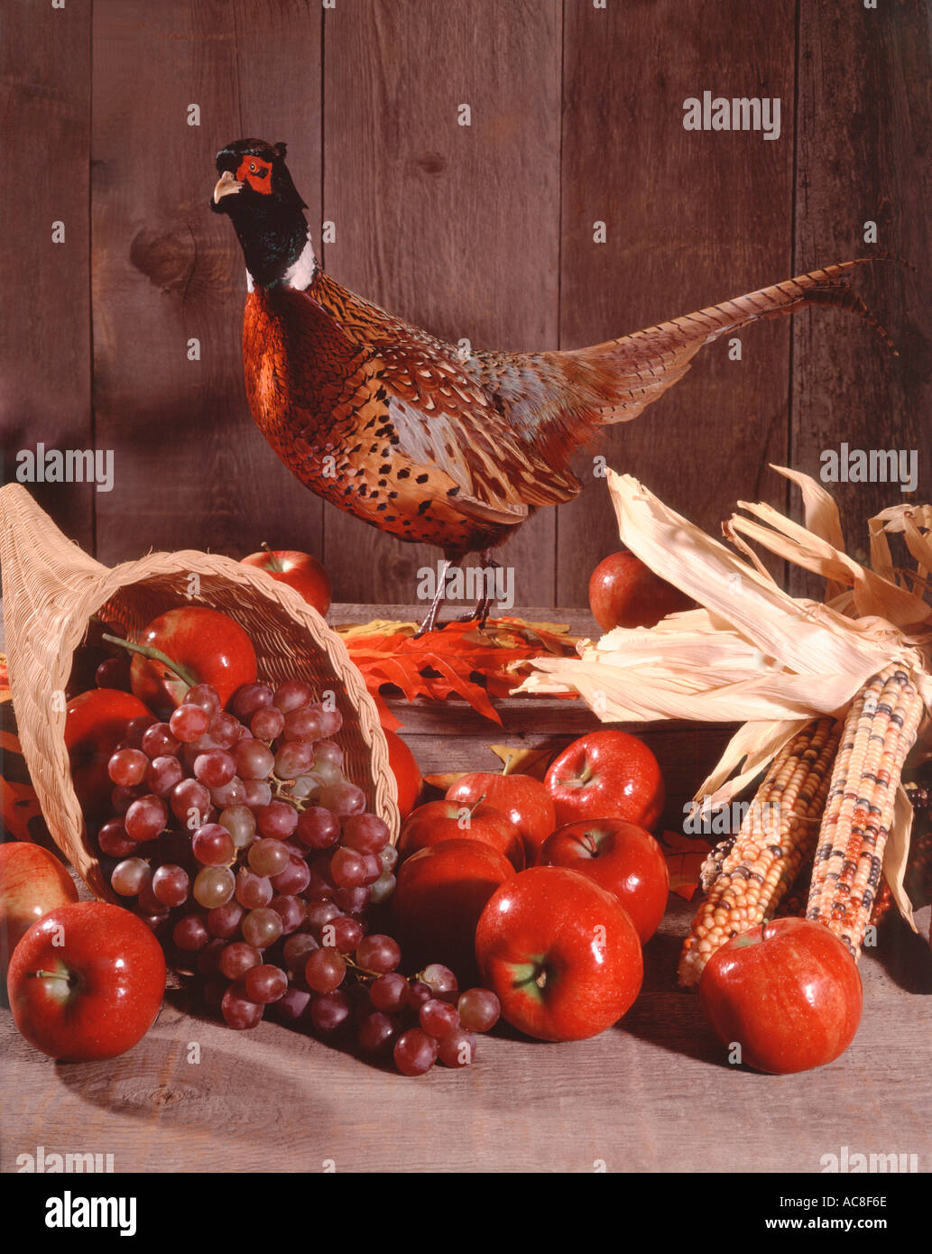 Harvest still life with cornucopia and pheasant against an old barnwood ...