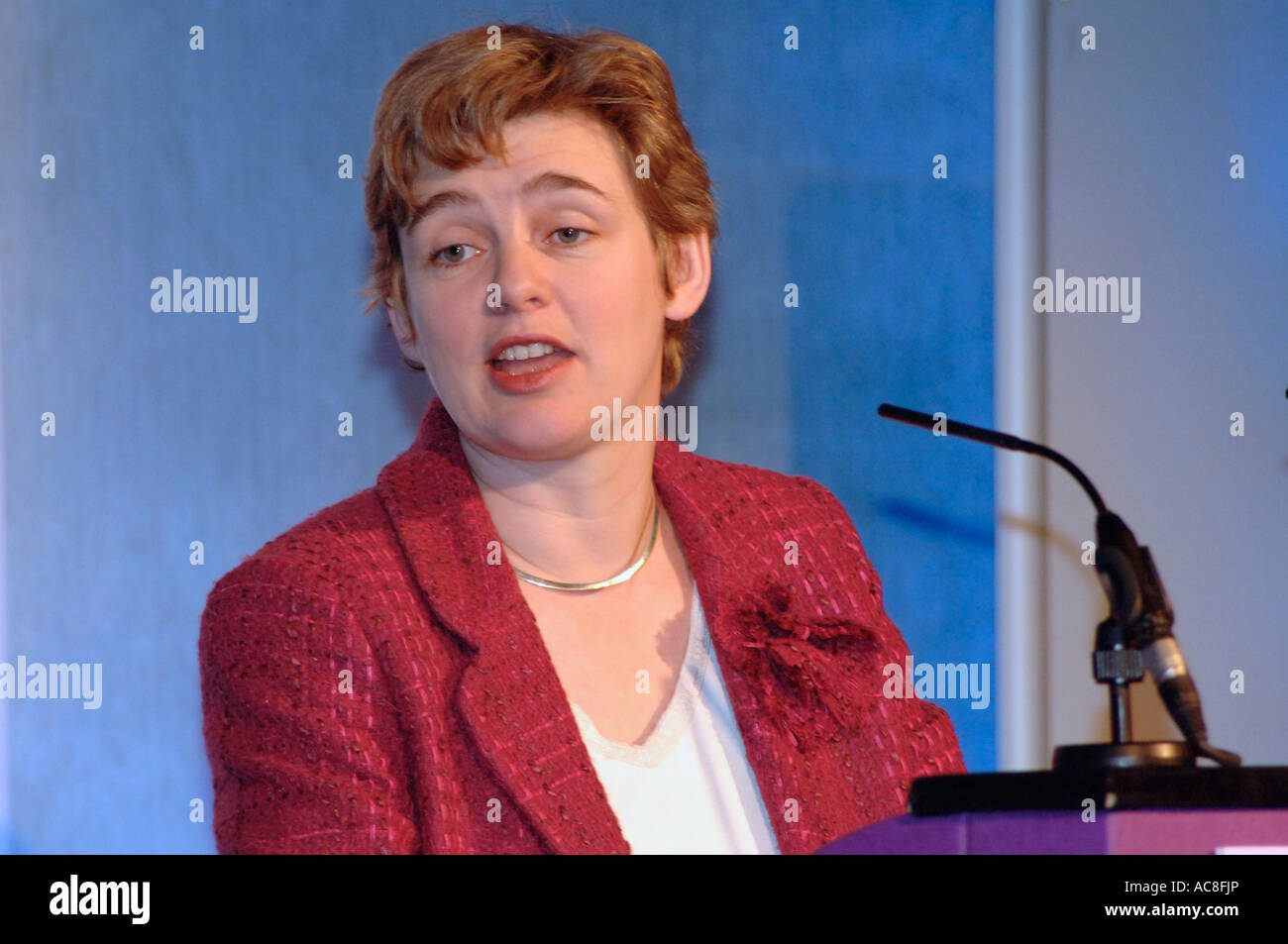 Ruth Kelly MP Stock Photo - Alamy