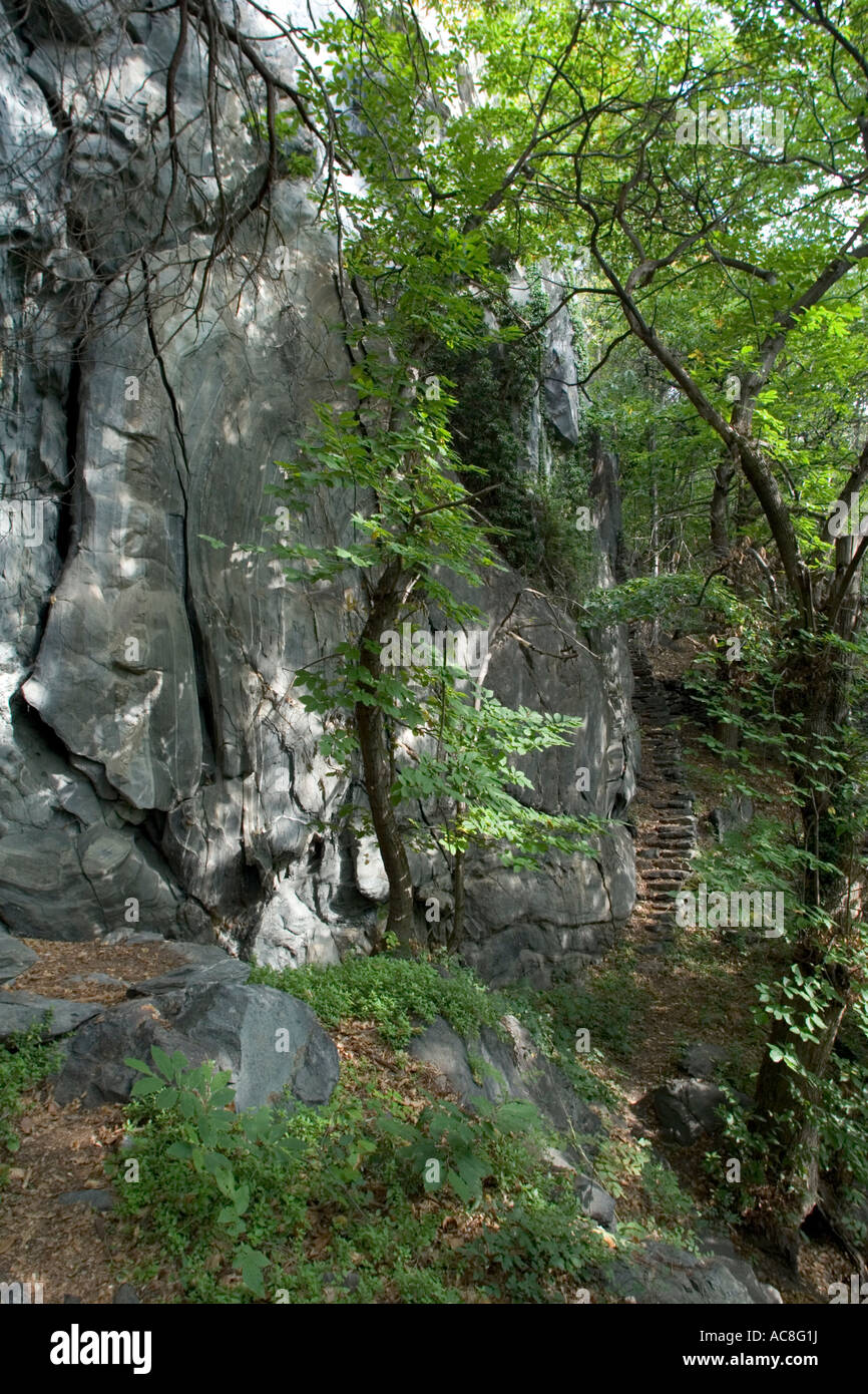 Steps and cliff face in the woods near Savogno, Sondrio, Italy Stock ...