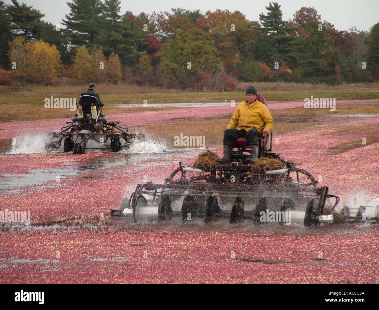 East wareham hi-res stock photography and images - Alamy
