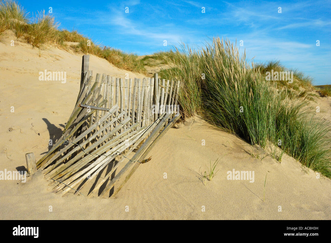 Erosion protection fences in the sand dunes at Camber Sand Rye East ...