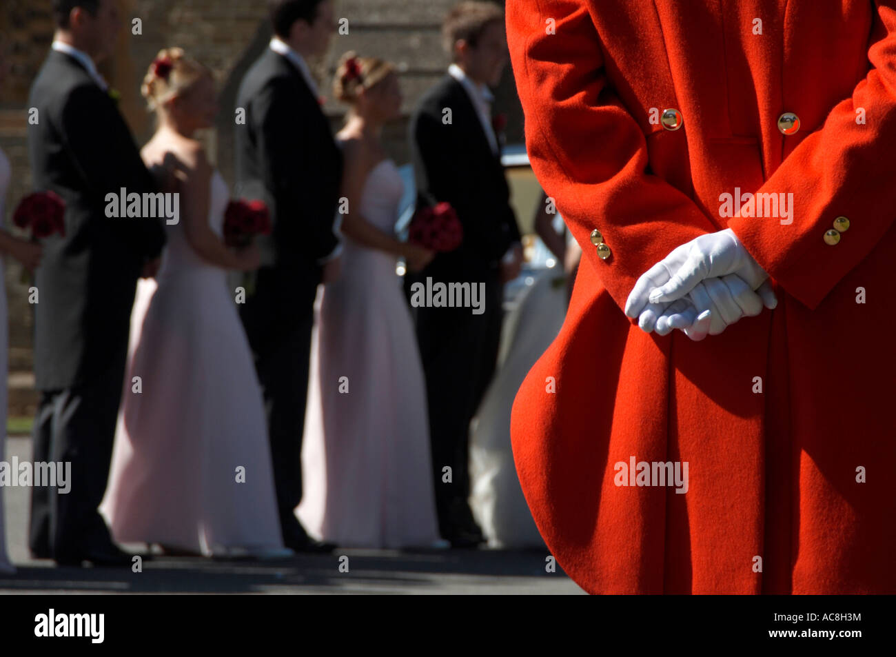 Bridesmaids and best man with ushers in a line after the wedding Stock ...