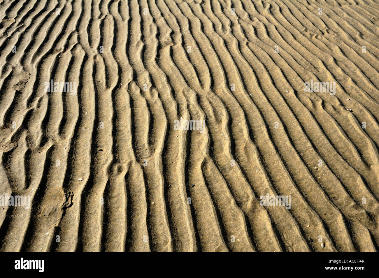 Patterns in the sand made by the retreating tide on the beach at Camber ...