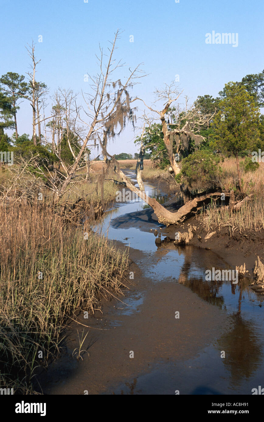 Hobcaw barony hi-res stock photography and images - Alamy