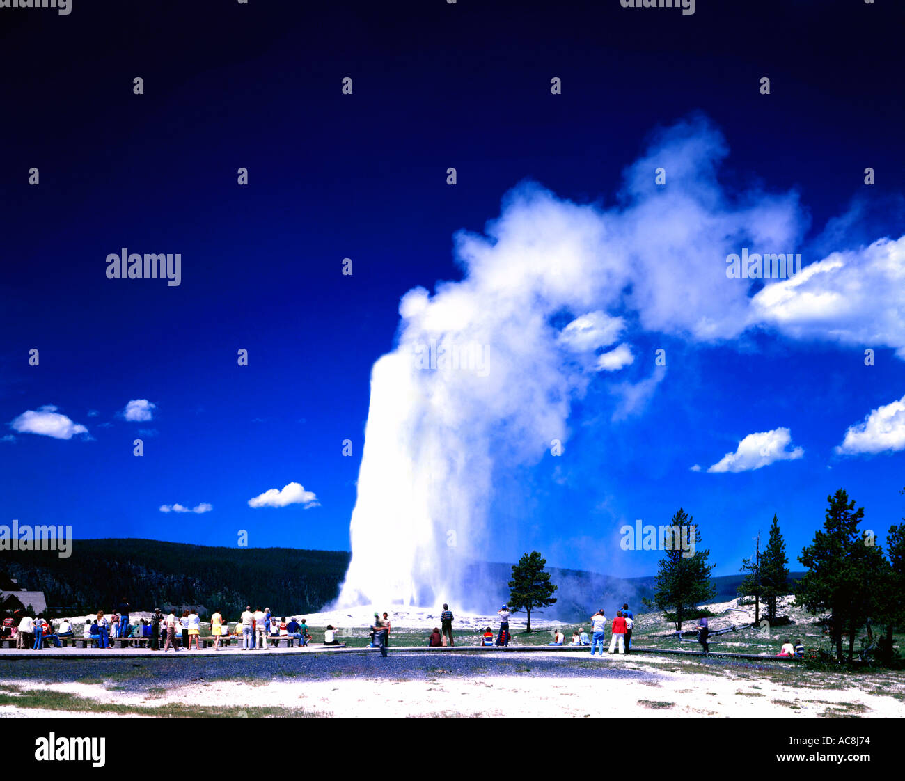 Yellowstone National Park in Wyoming where Old Faithful geyser bursts ...