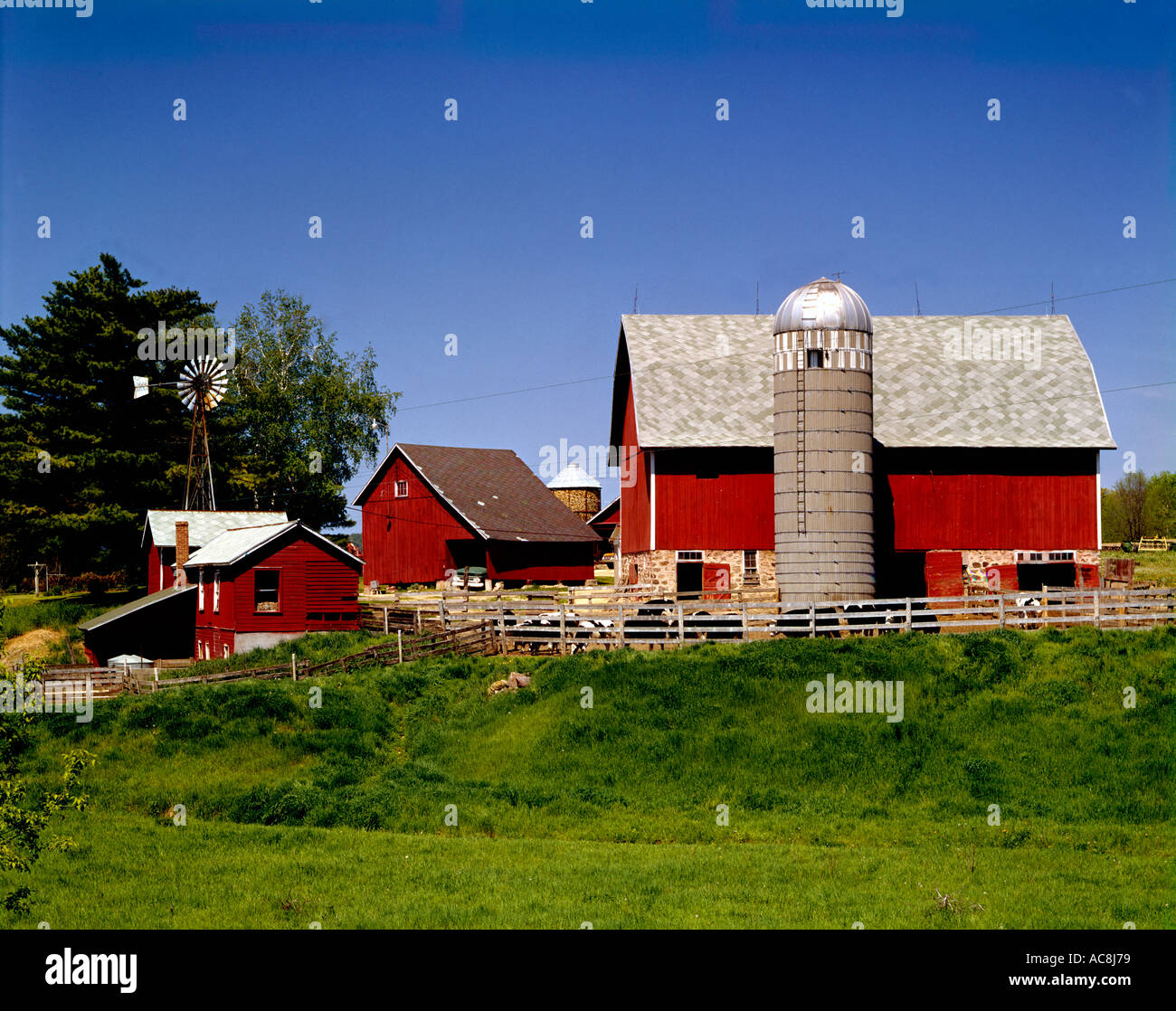 Wisconsin dairy farm with classic features such as tall silo and red ...