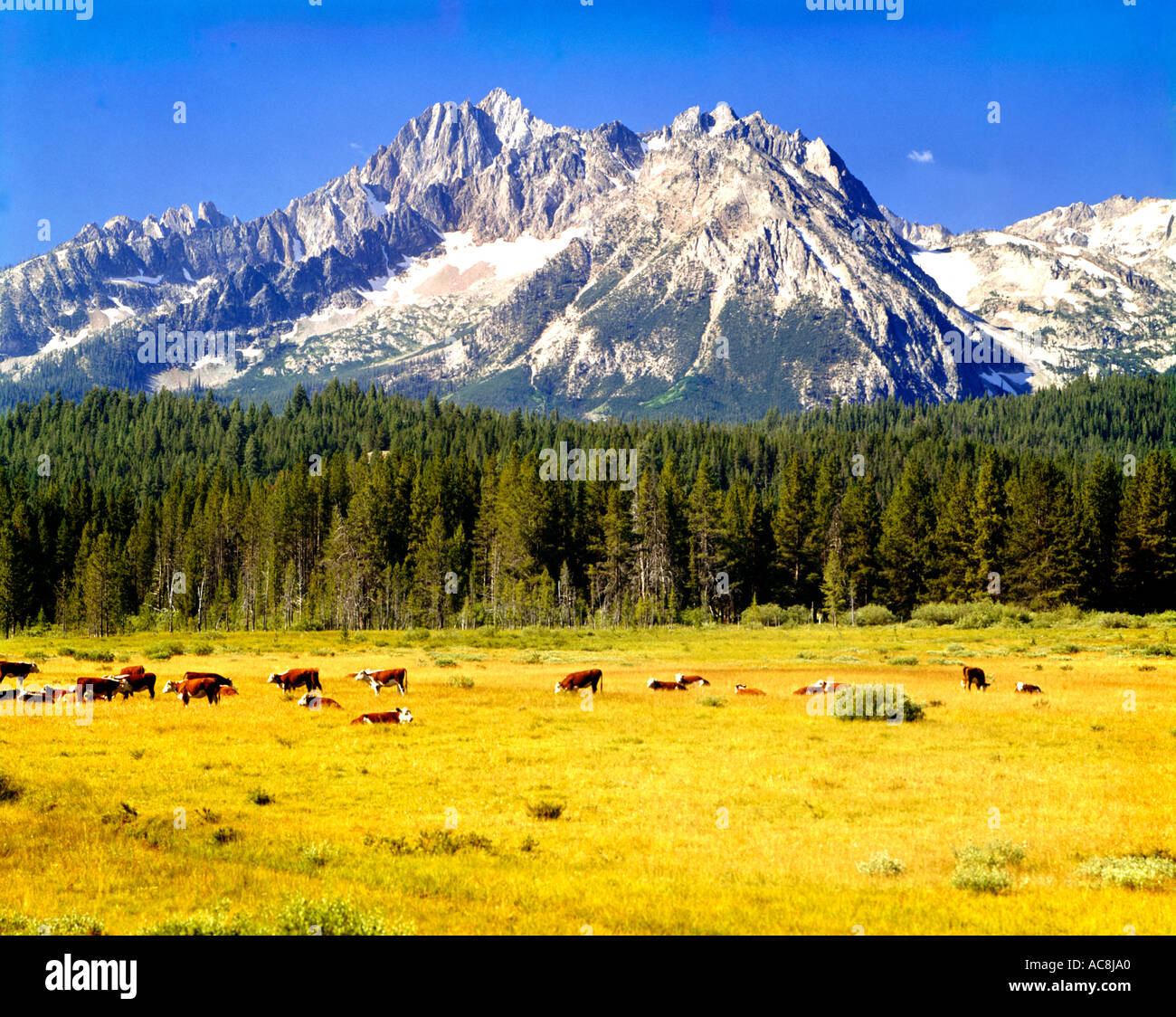 Sawtooth National Recreation Area