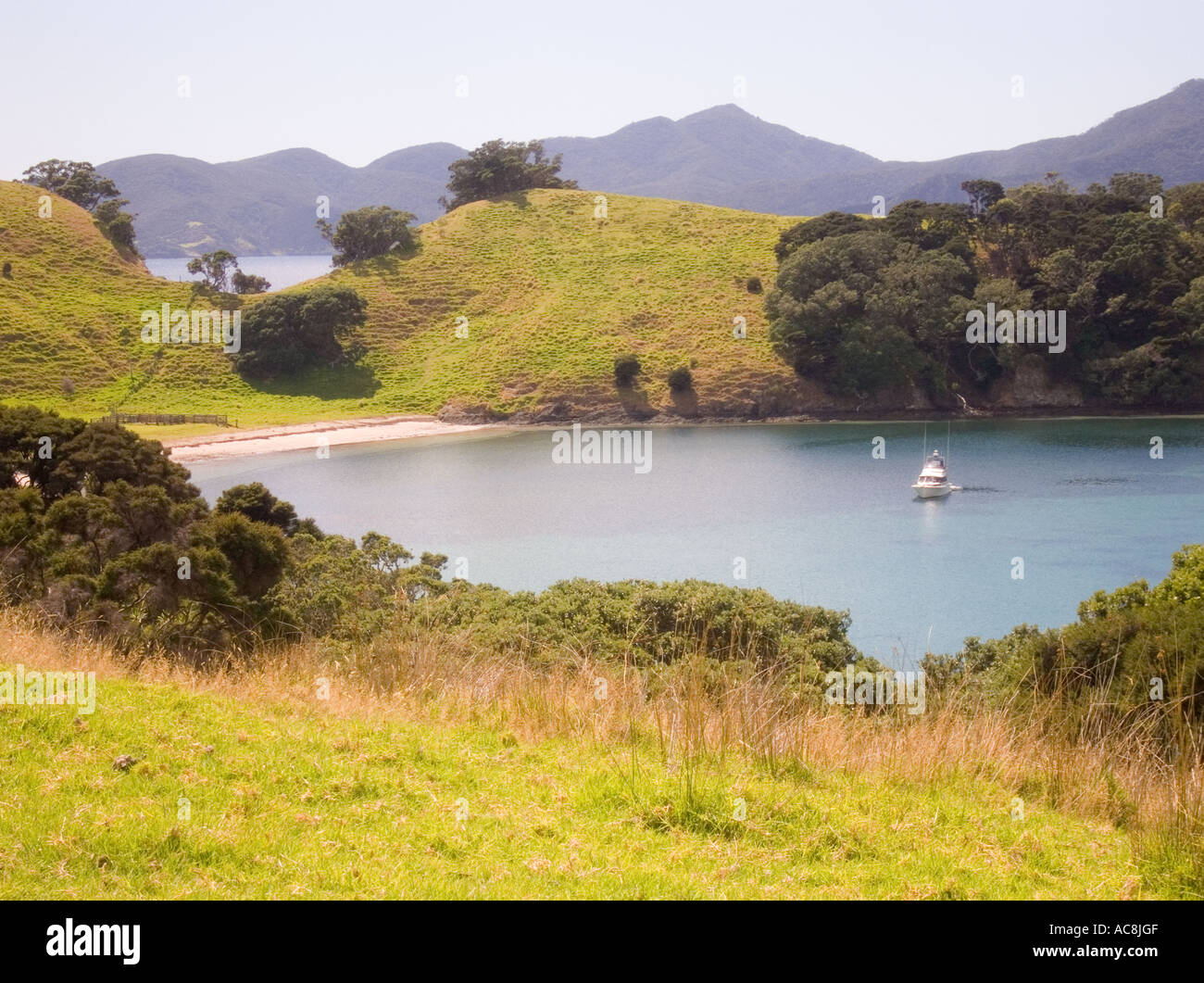 new zealand bay of islands inlet on island Stock Photo - Alamy