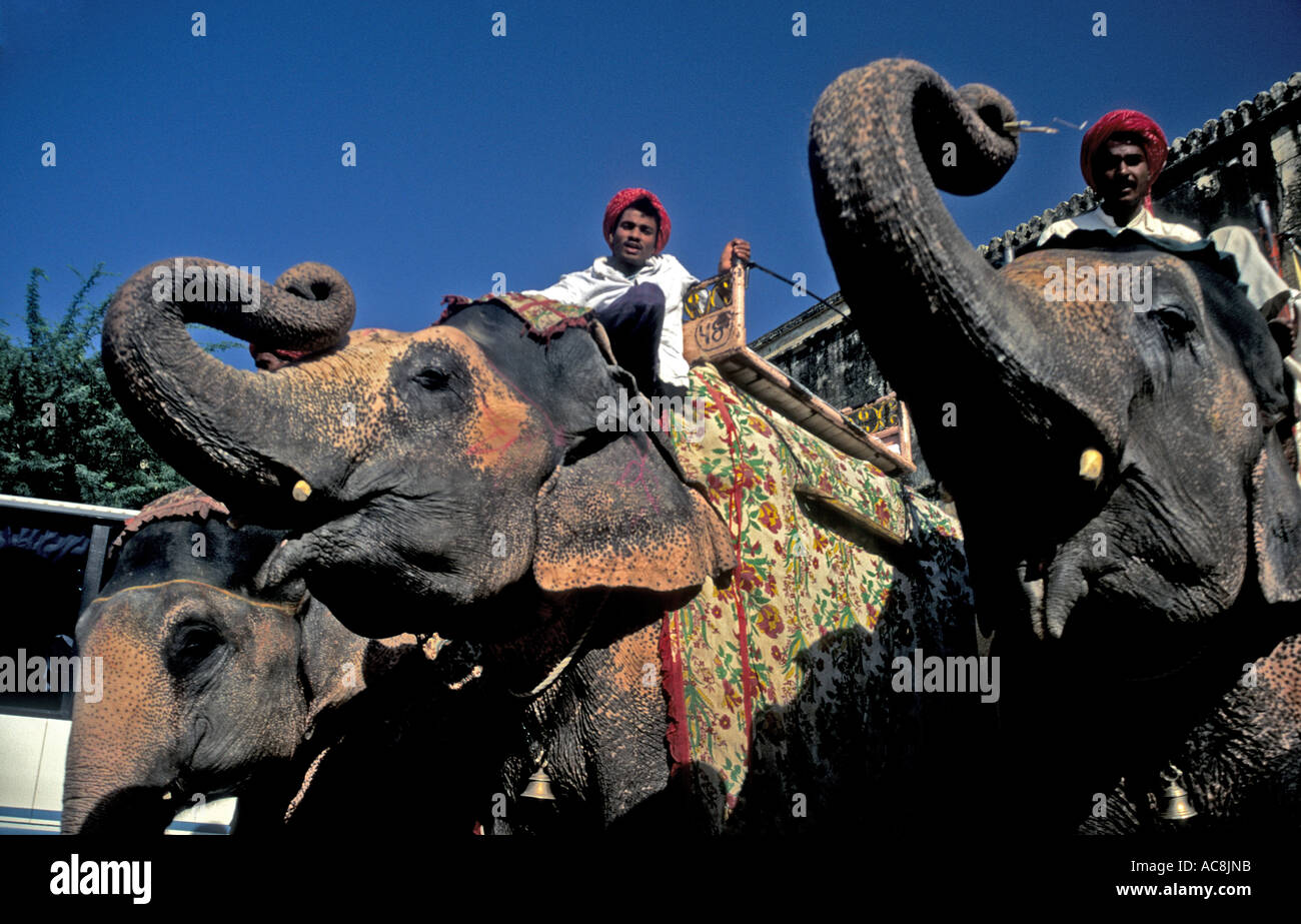 Ceremonial elephants hi-res stock photography and images - Alamy