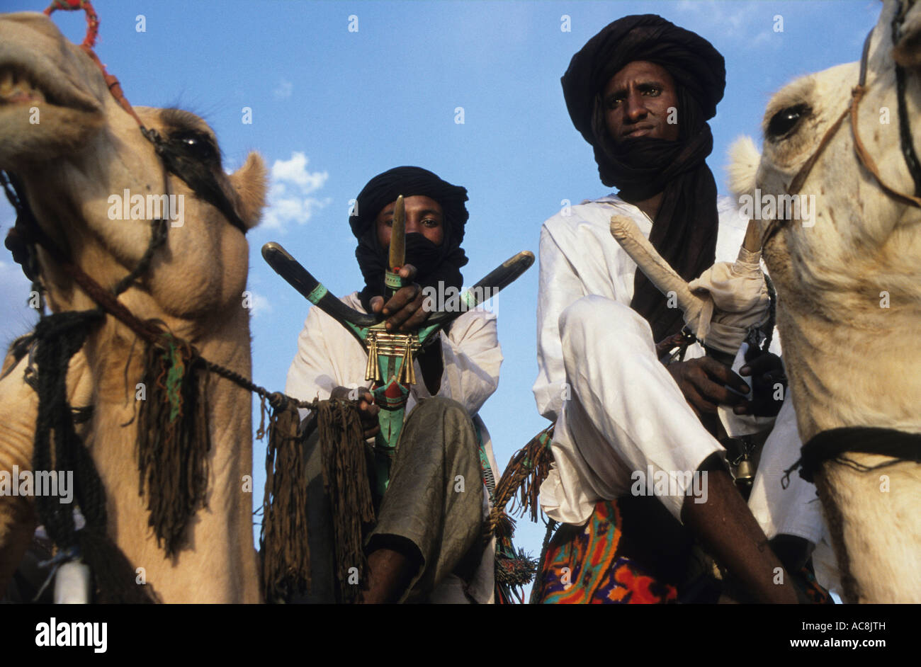 Nomadic tribesmen on their camels in the Sahara desert at the Cure ...