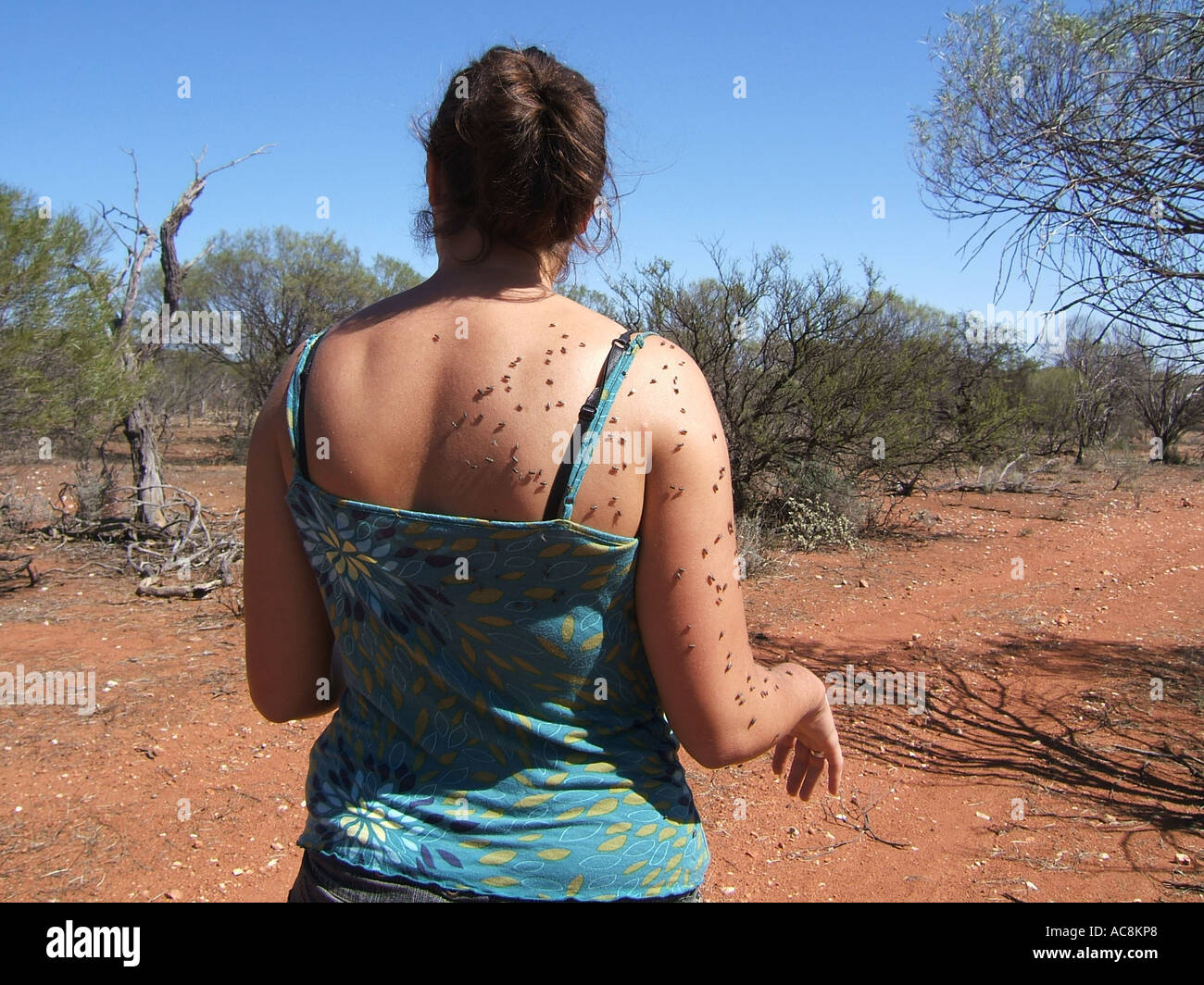 Western australia disgusting wildlife bugs hi-res stock photography and ...
