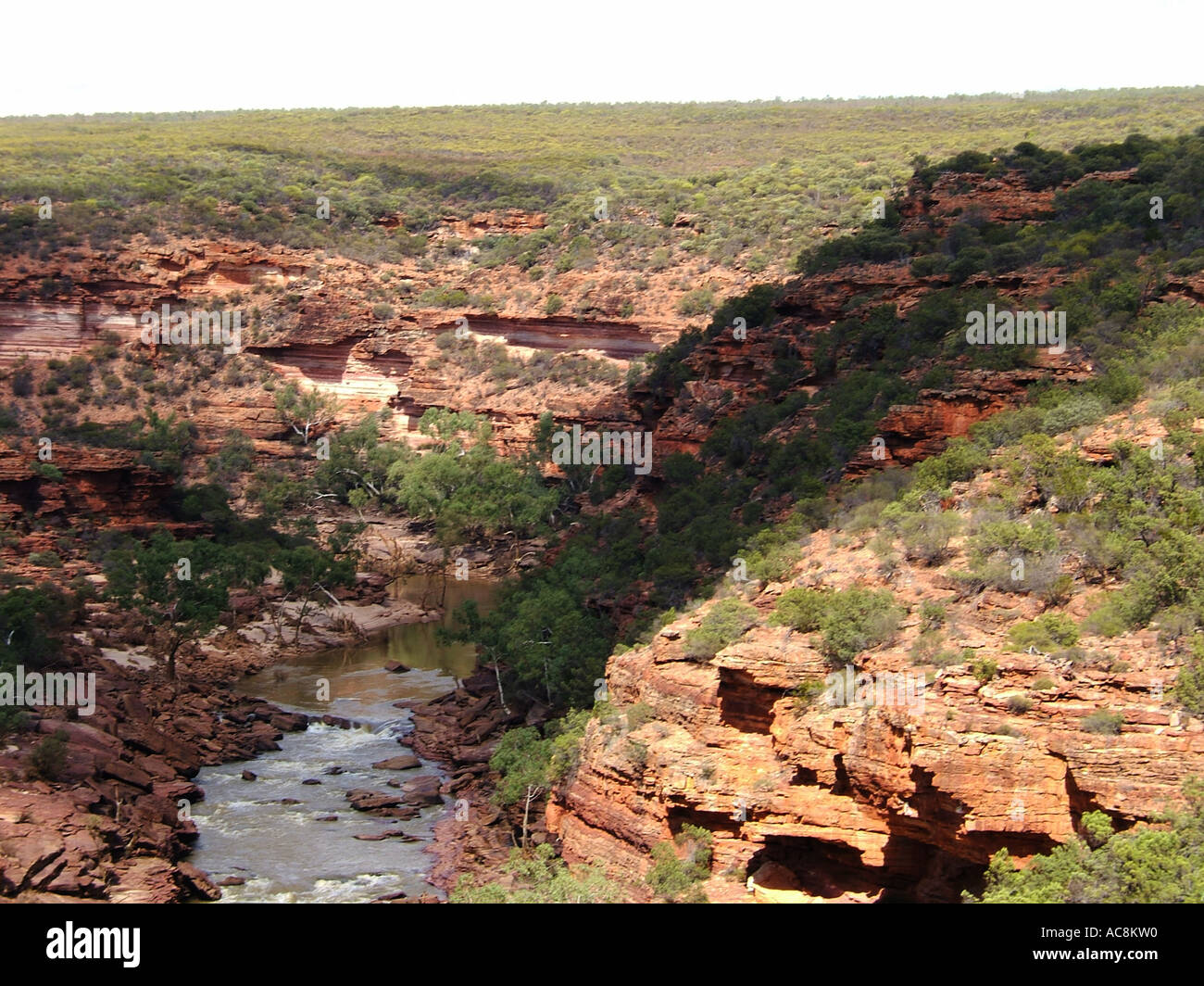 Murchison River Gorge, Kalbarri National Park, Western Australia Stock ...