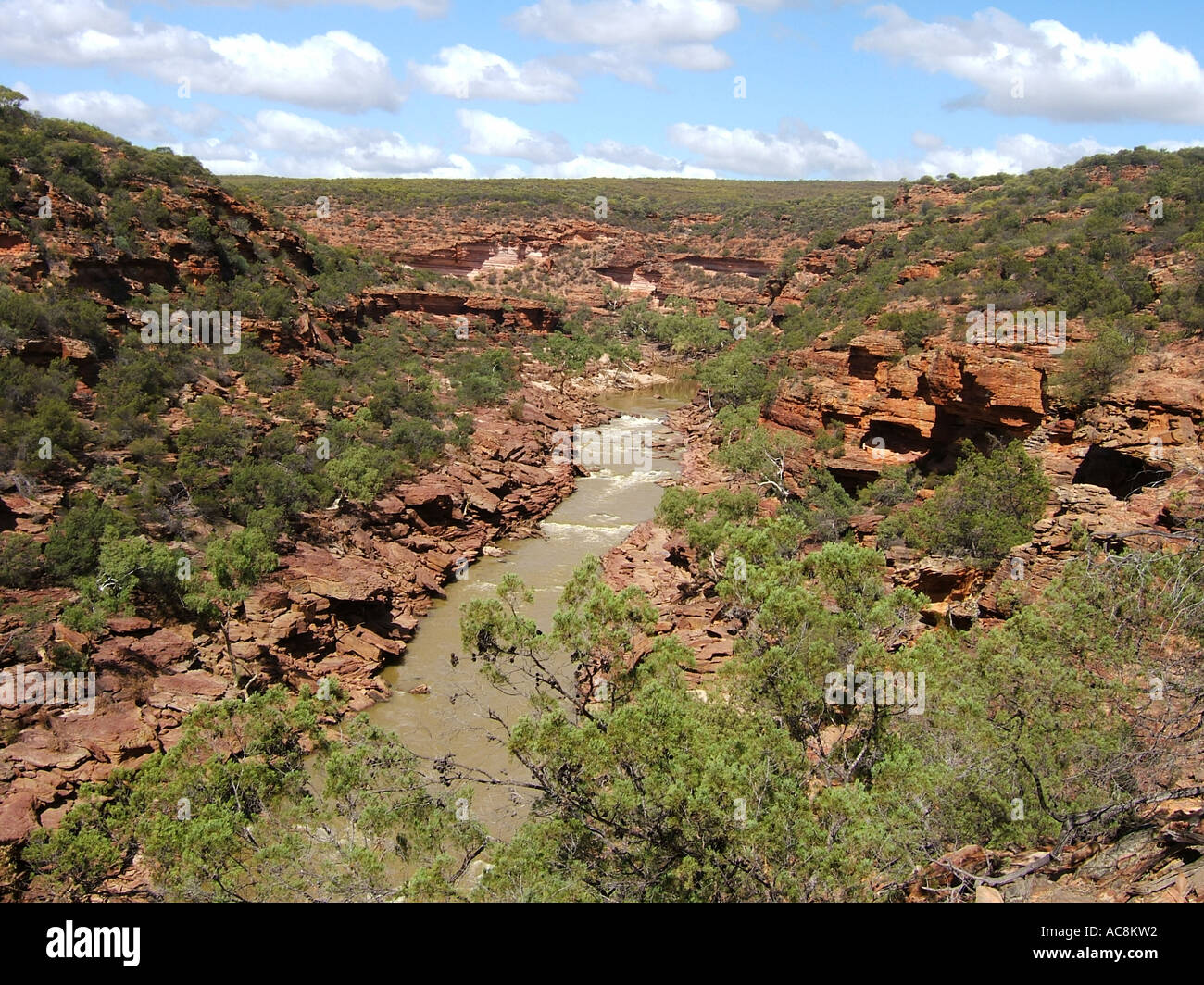 Murchison River Gorge, Kalbarri National Park, Western Australia Stock ...