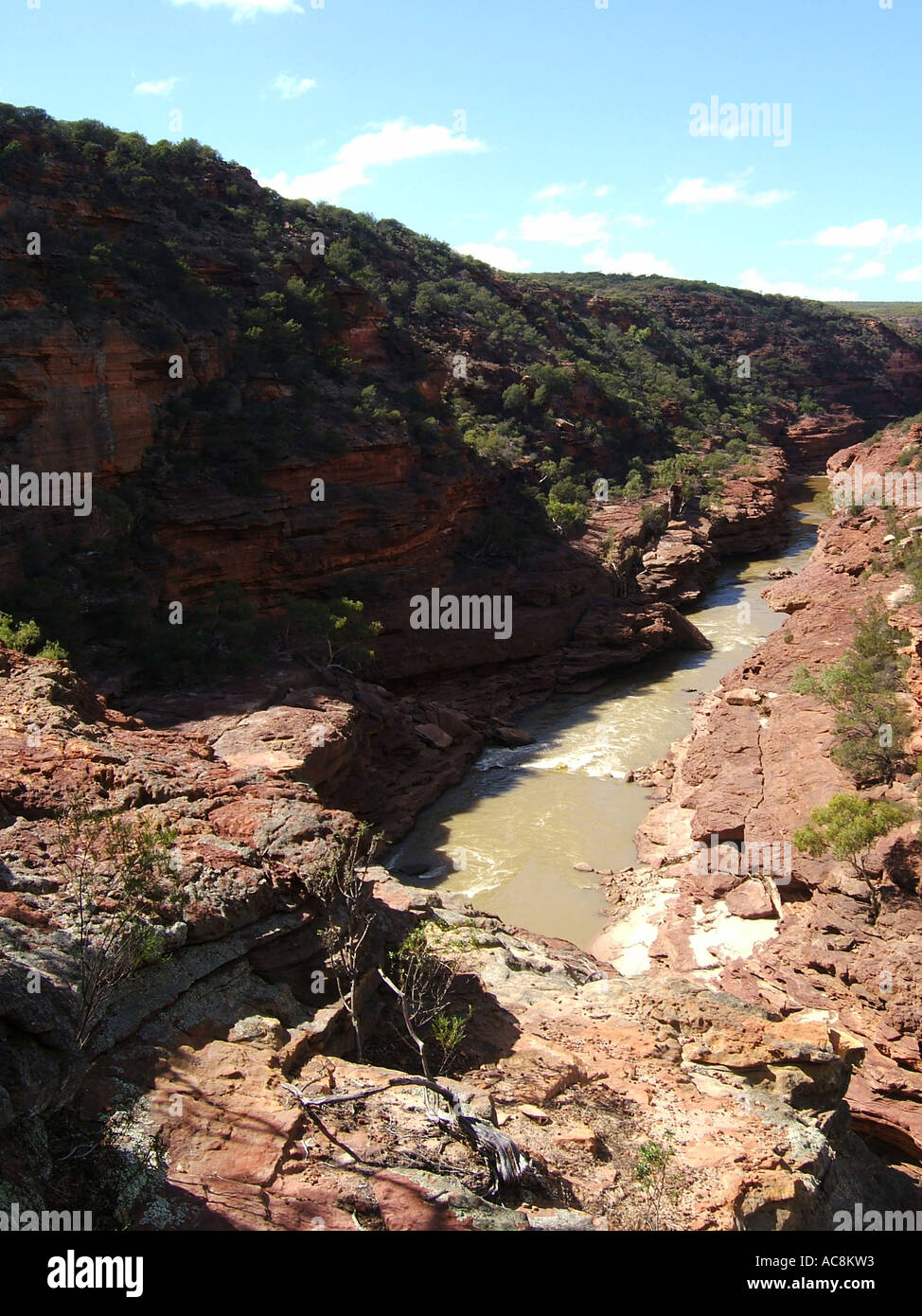 Murchison River Gorge, Kalbarri National Park, Western Australia Stock ...