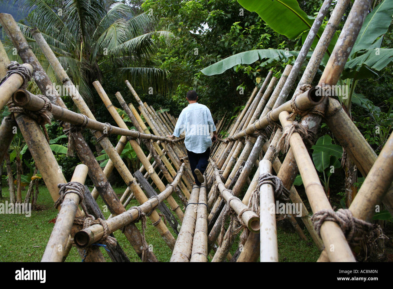 Bamboo bridge used by natives in Sarawak Malaysia Stock Photo - Alamy