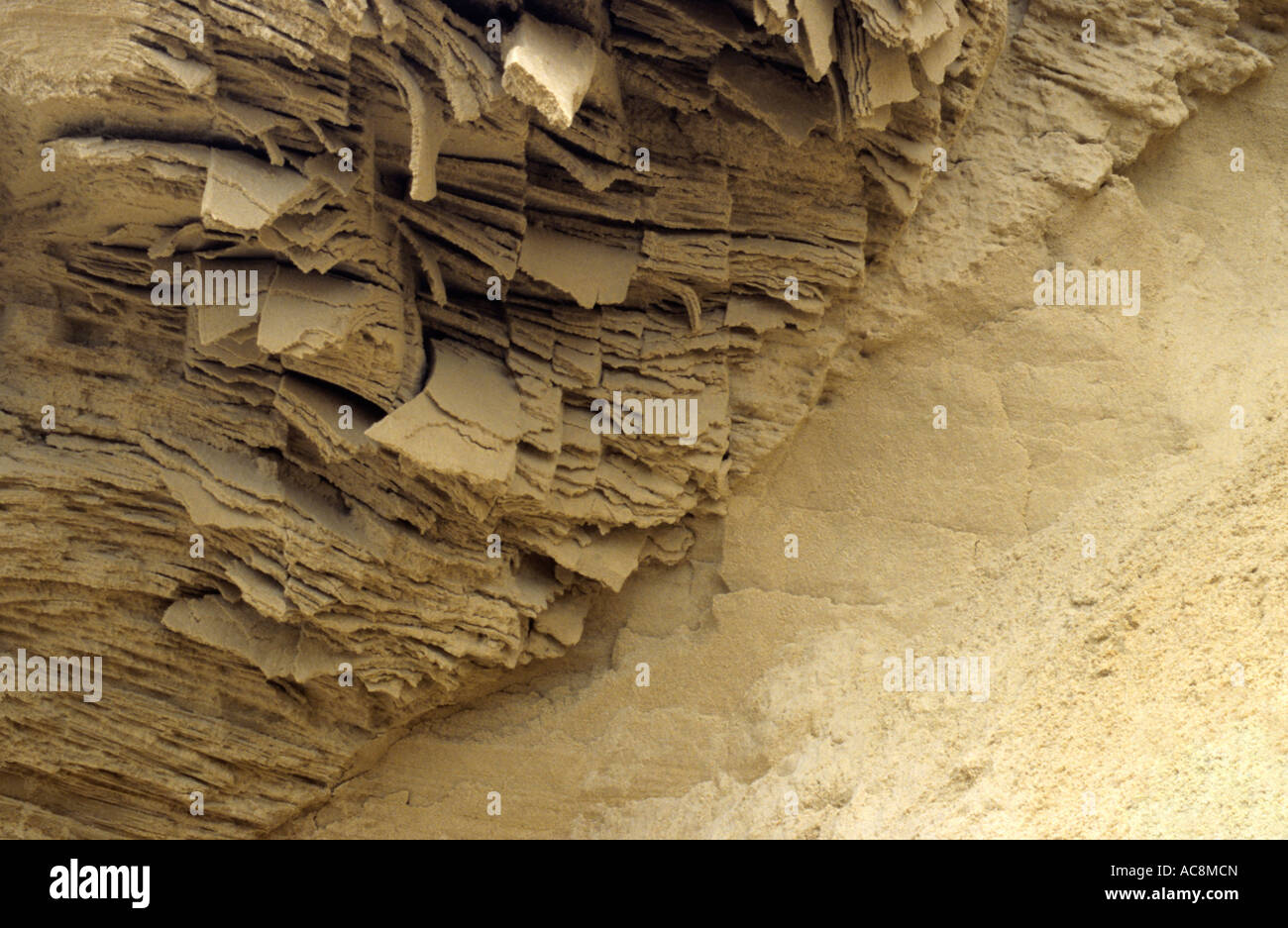 vertical cross section through the sand dune Stock Photo - Alamy