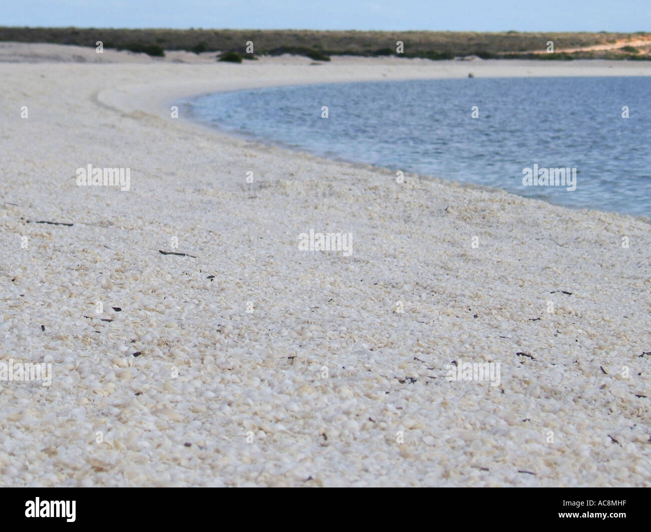 Shell Beach, Shark Bay, Western Australia Stock Photo - Alamy