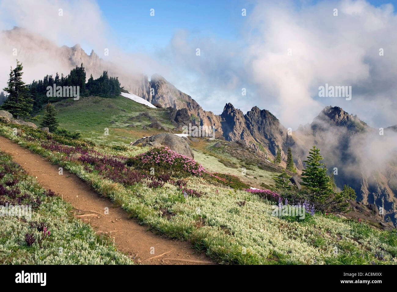 Clouds over mountains, Klahhane Ridge, Olympic National Park ...