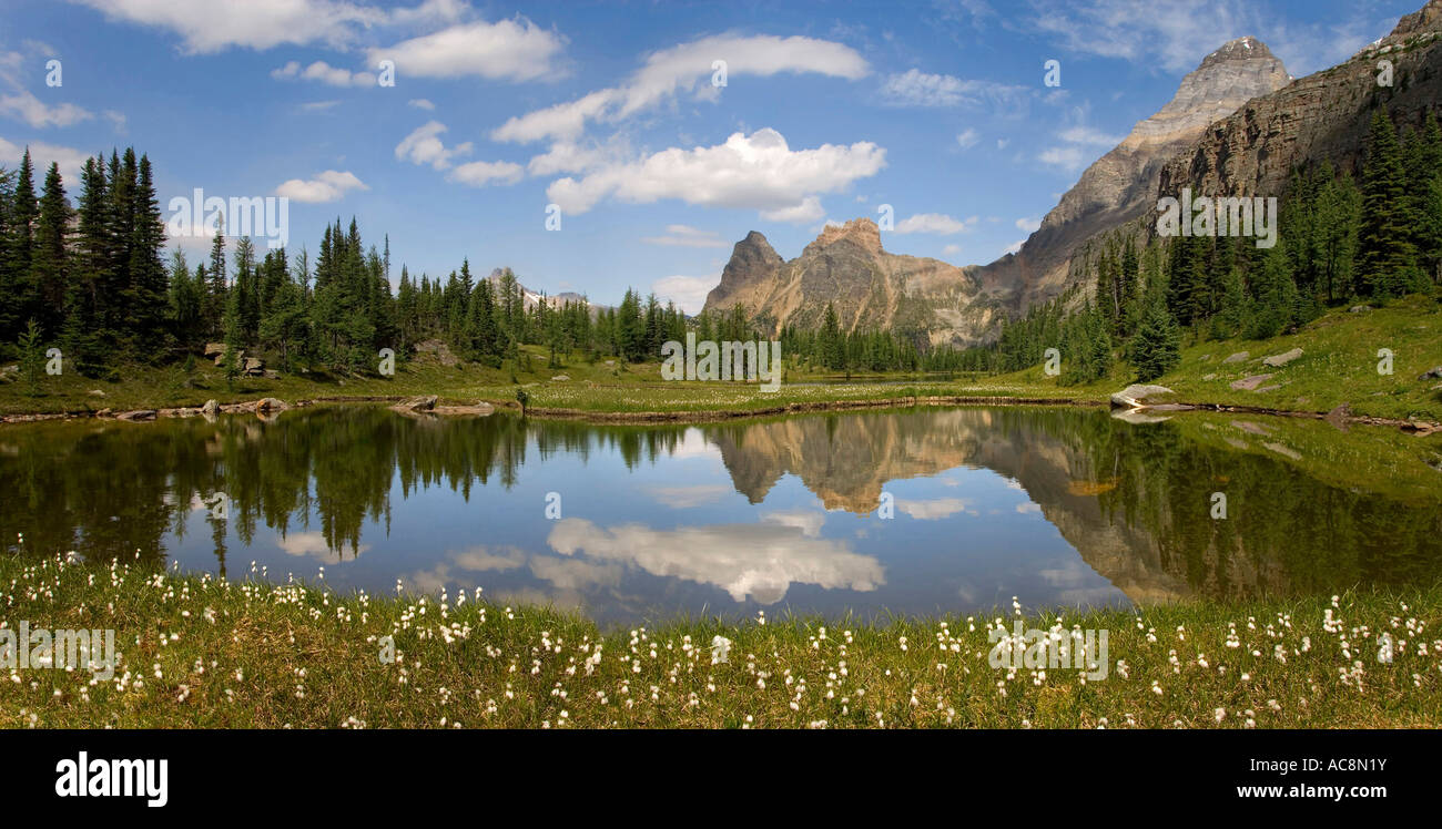 Reflection of mountains and trees in water, Moor Lake, Yoho National ...