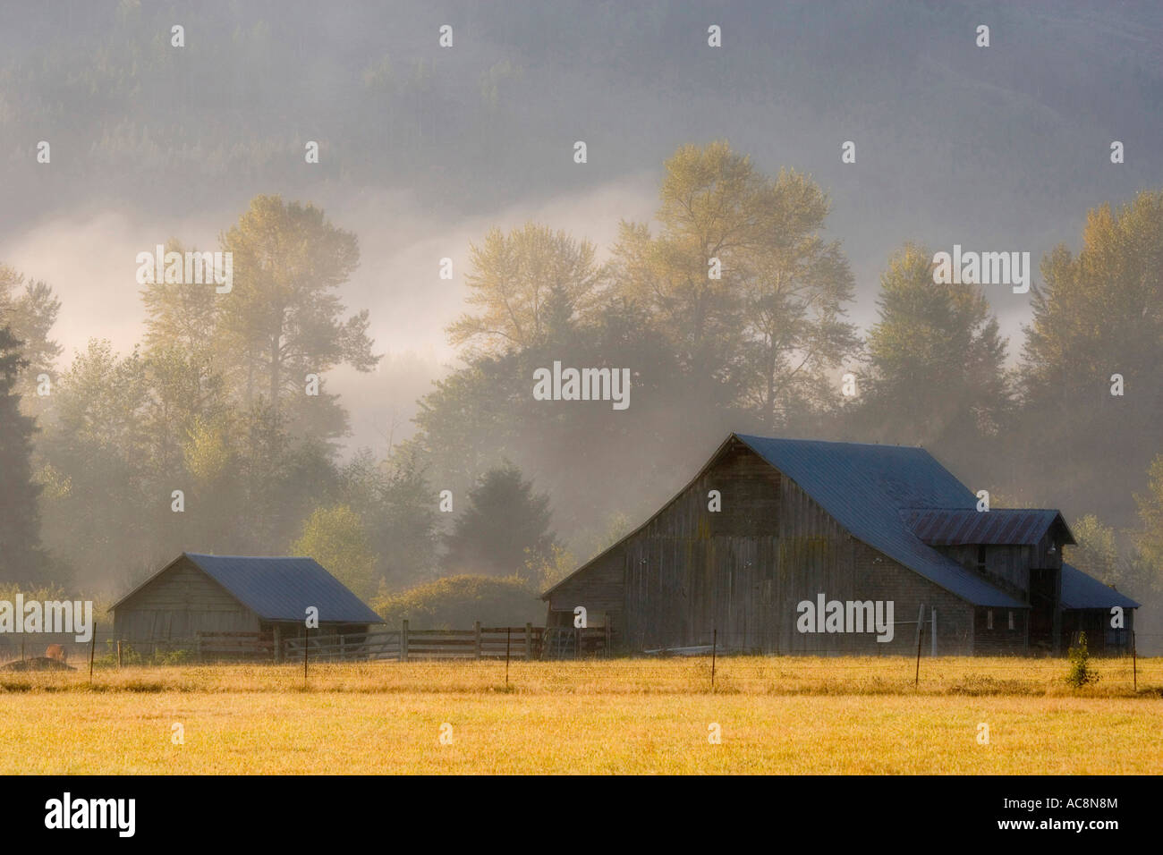 Farmhouse in a field Stock Photo - Alamy