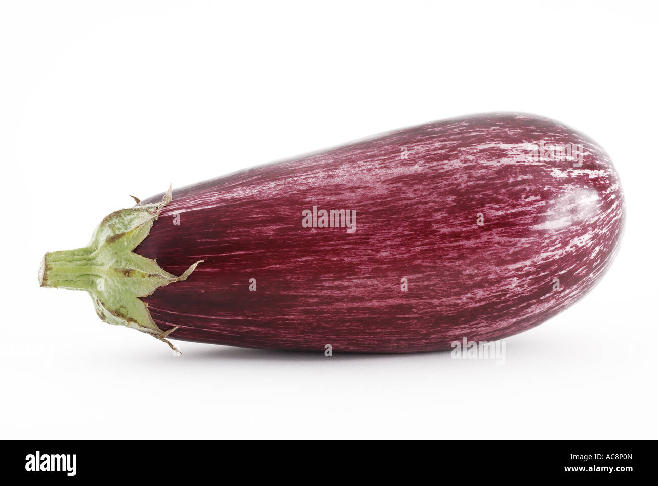 FRESH AUBERGINE SOLANUM MELONGENA ON A WHITE BACKGROUND VARIETY ...