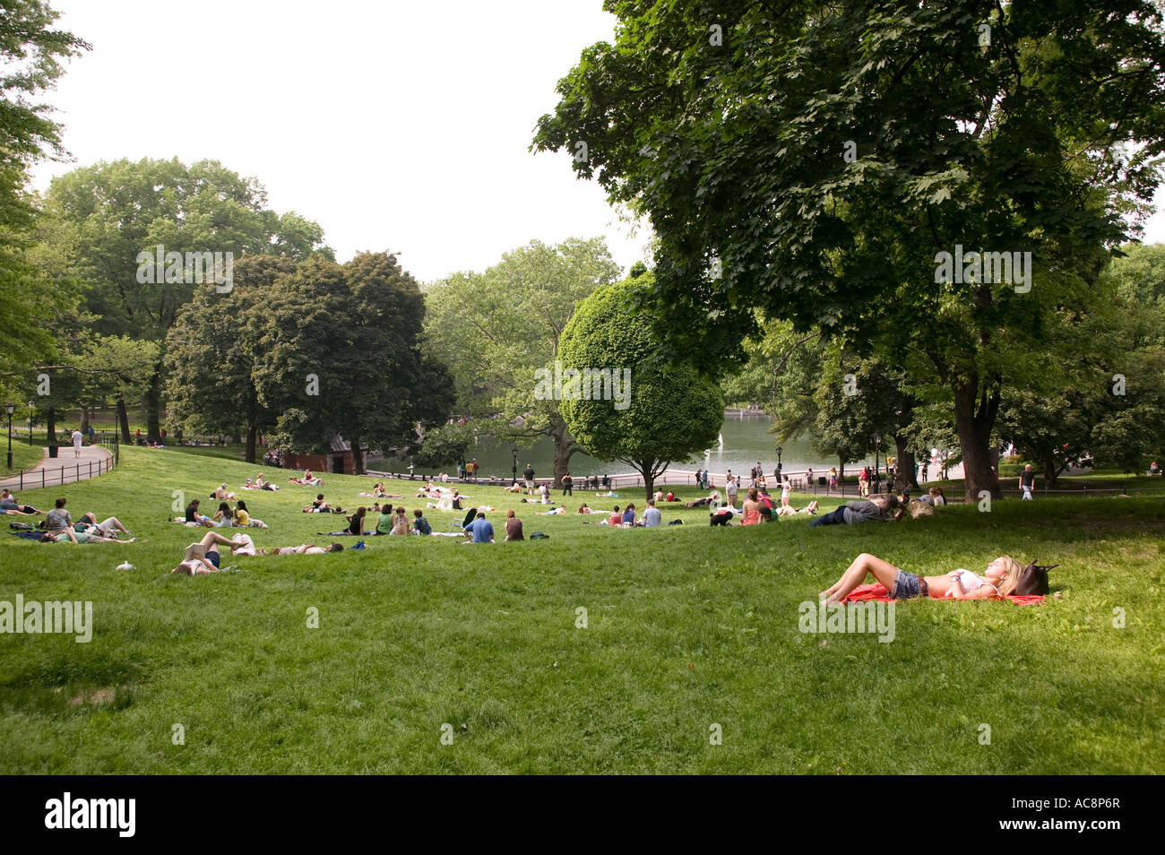 People enjoying the nice weather in Central Park New York City Stock ...