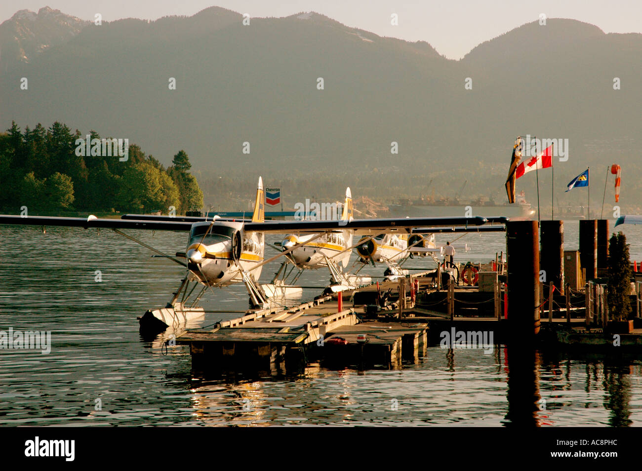 DeHavilland float planes moored at float plane base, Coal Harbour ...