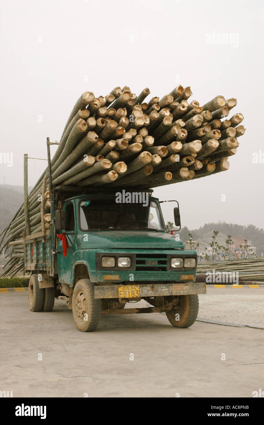 Bamboo log truck with a full load of bamboo, Hunan, China Stock Photo ...
