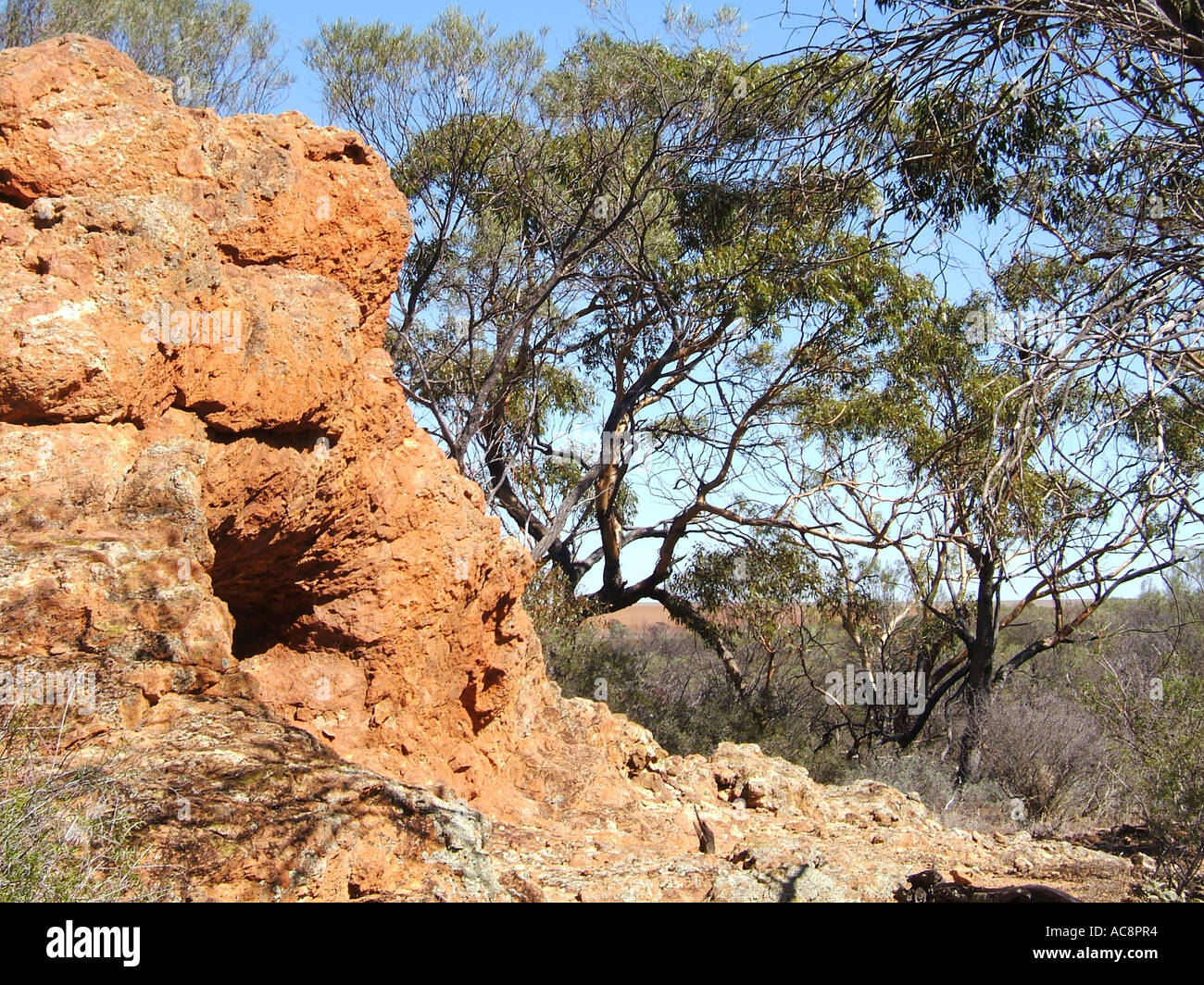 outback Mullewa, Western Australia Stock Photo - Alamy