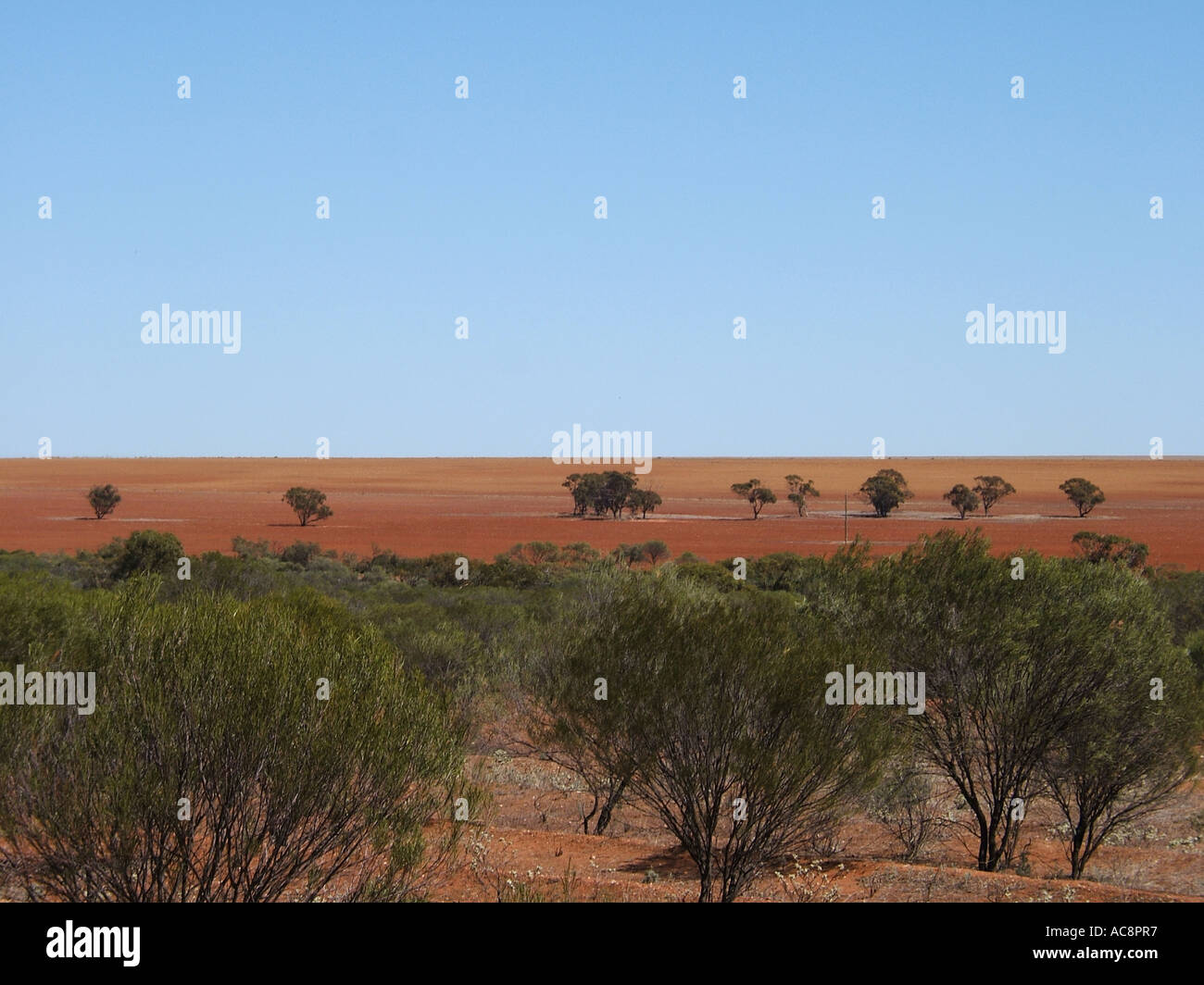 Outback Mullewa, Western Australia Stock Photo - Alamy