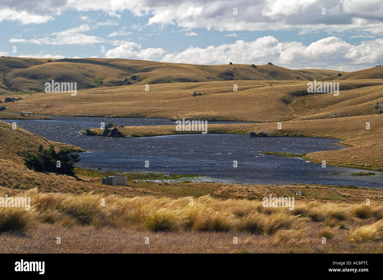 Great Moss Swamp by Old Dunstan Trail Central Otago South Island New ...