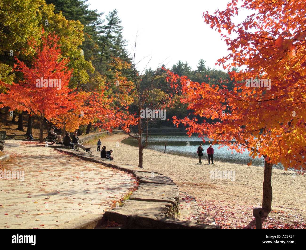Massachusetts state parks hi-res stock photography and images - Alamy