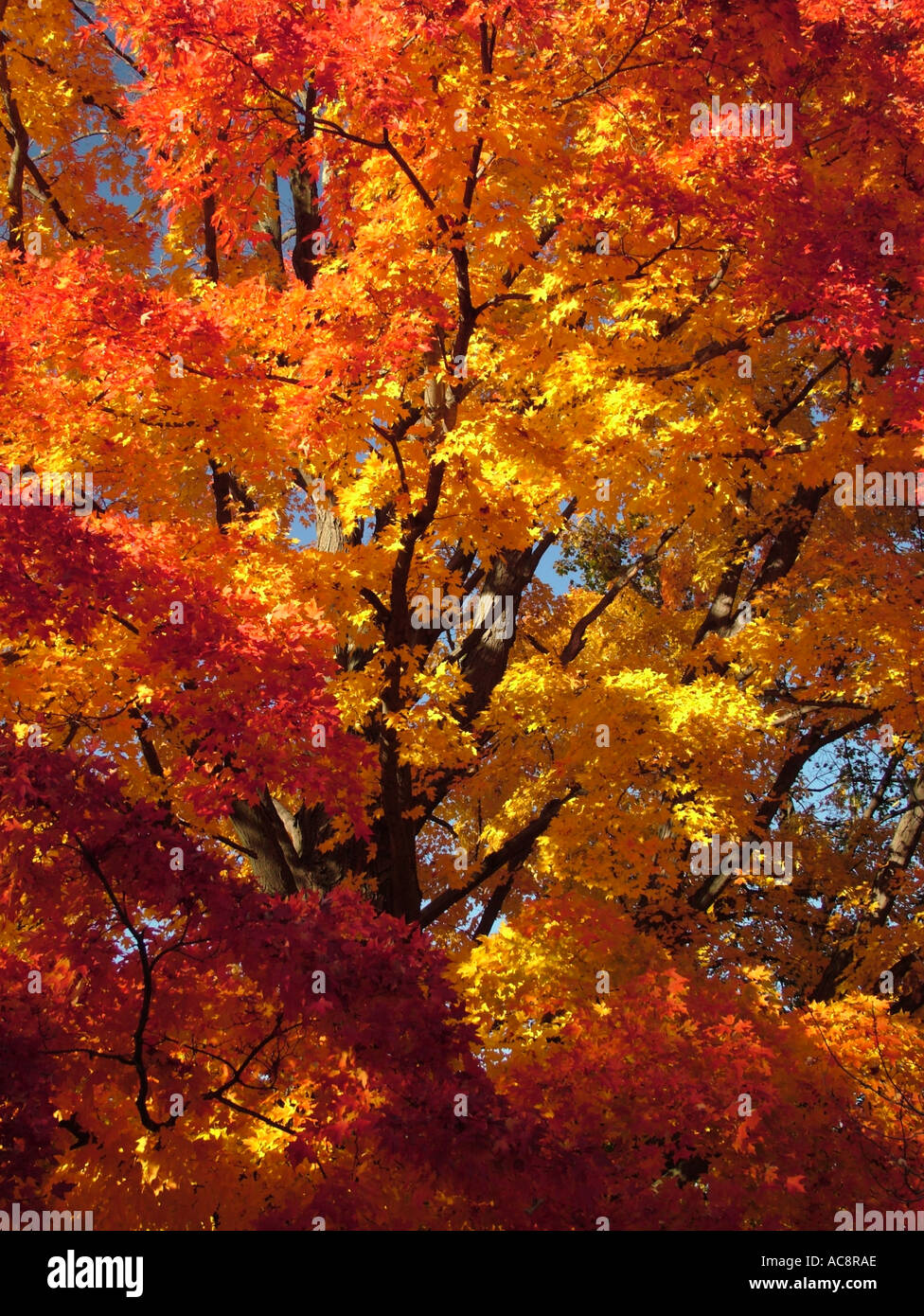 Groton ma hi-res stock photography and images - Alamy