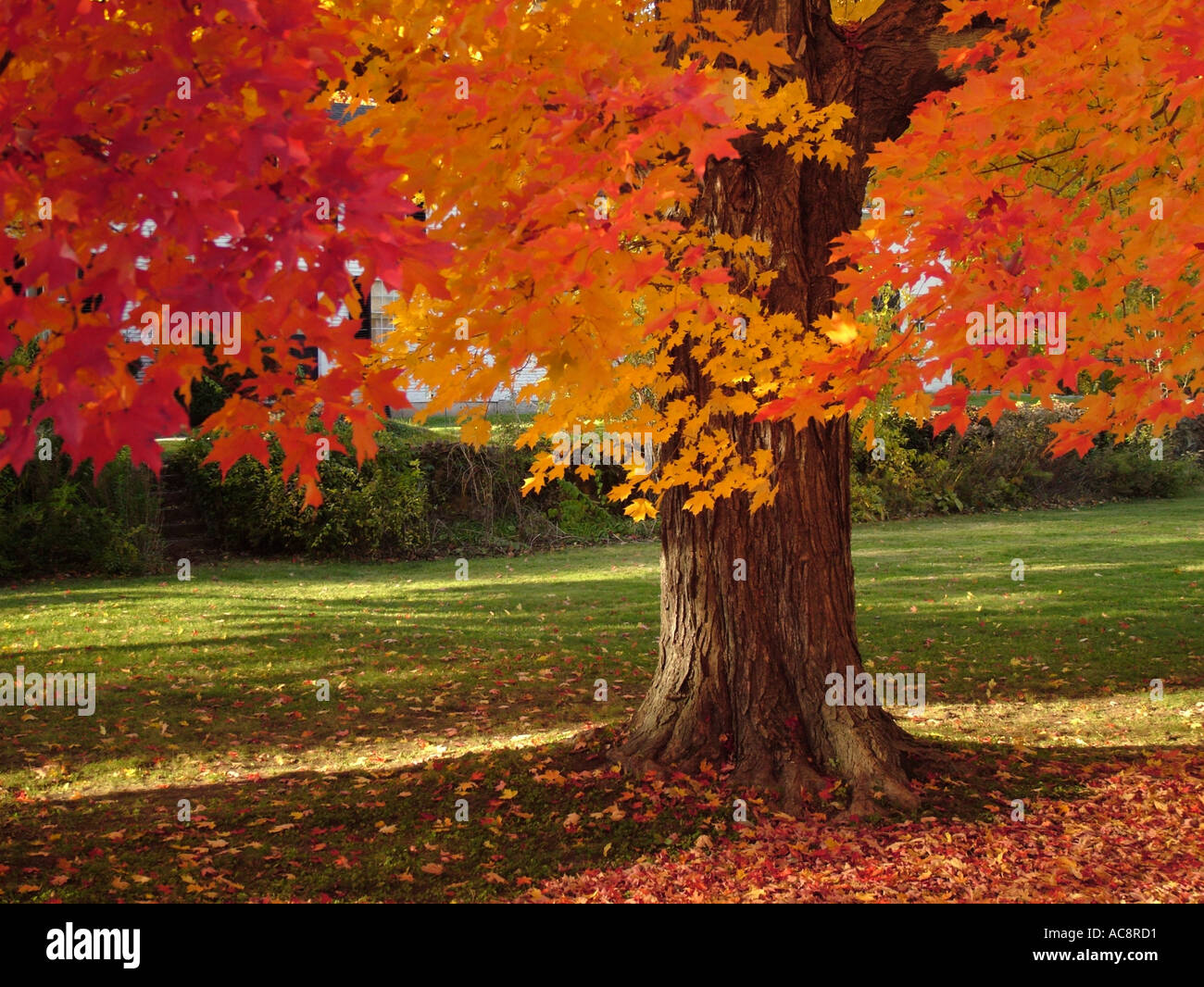 Groton ma hi-res stock photography and images - Alamy