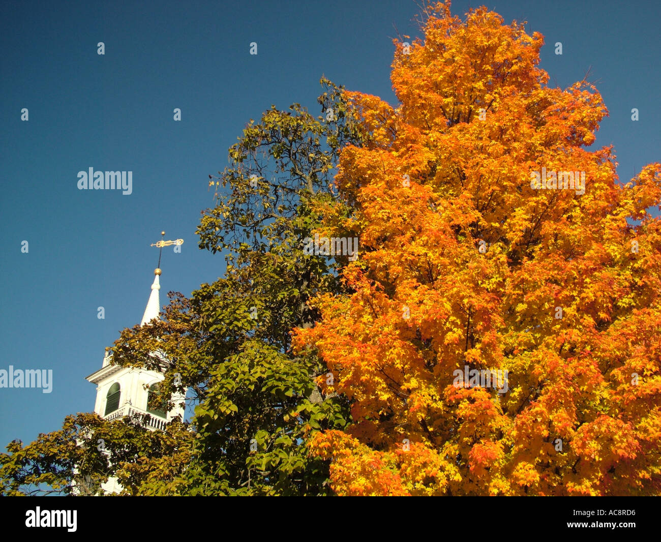 S townsend hi-res stock photography and images - Alamy