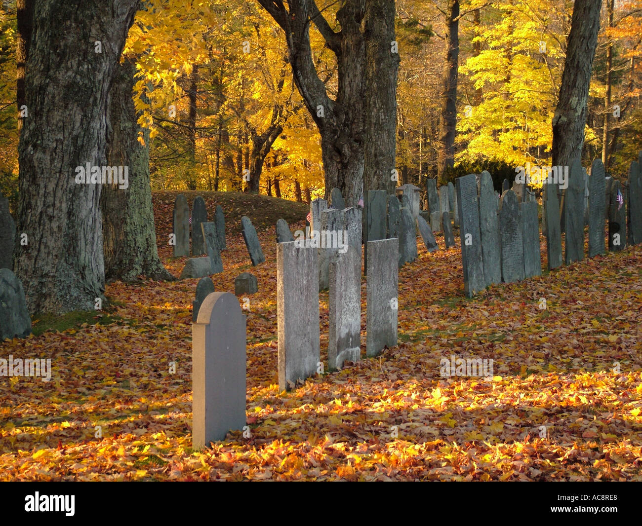 Nh center hi-res stock photography and images - Alamy