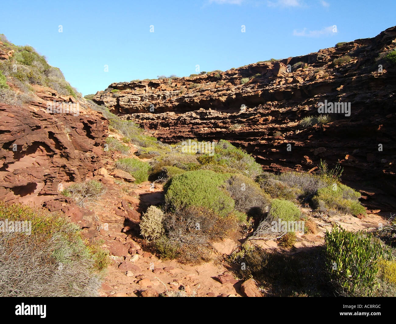 Coastal Cliffs, Kalbarri National Park, Western Australia Stock Photo ...