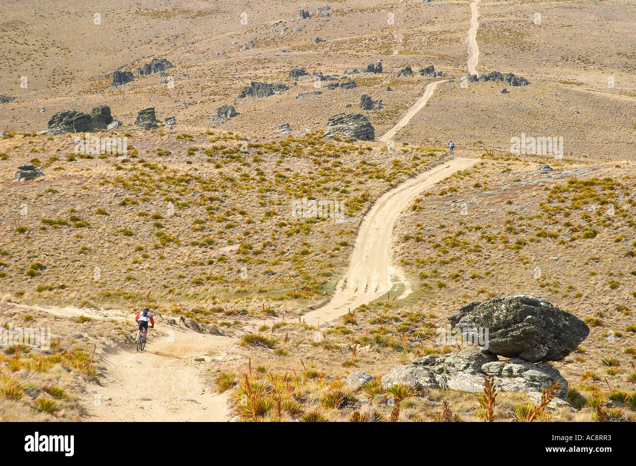 Mountain Bikers Carrick Track Carrick Range Central Otago South Island ...