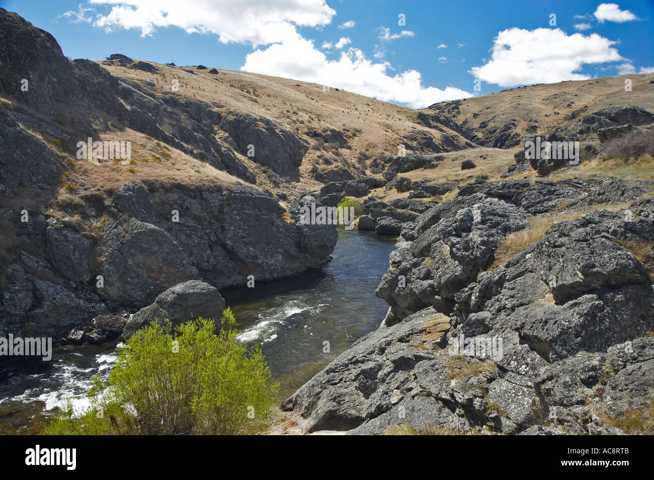 Nevis gorge new zealand hi-res stock photography and images - Alamy