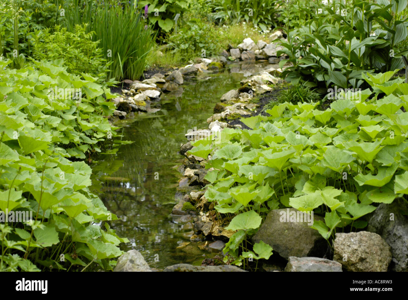 Rock garden with small pond Stock Photo - Alamy
