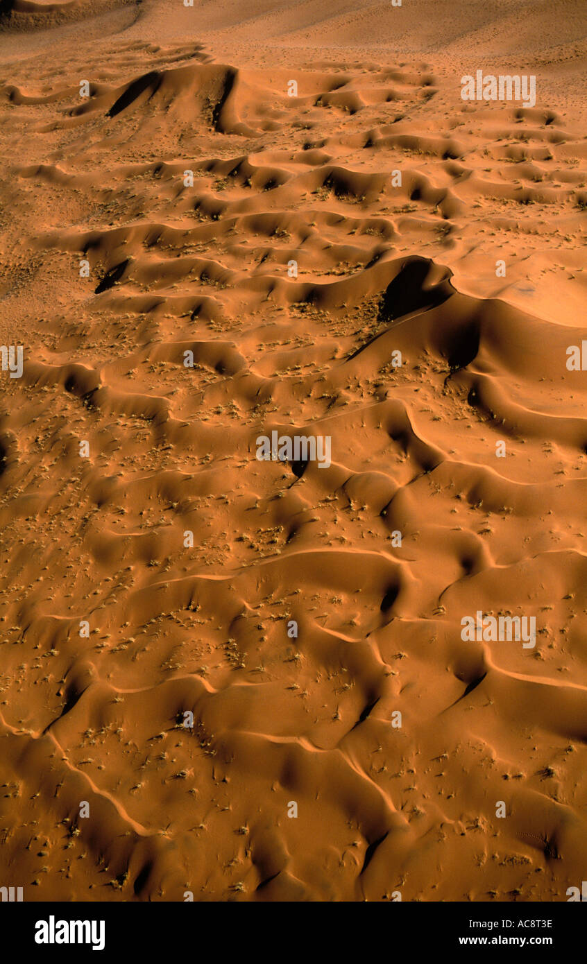 Shapes and curves of sand dunes Aerial photograph of the Namib Desert ...