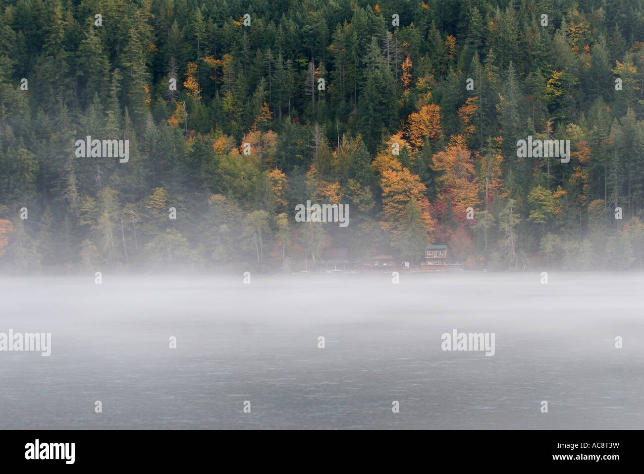 Fall colors above Crescent Lake Olympic National Park Washington Stock ...