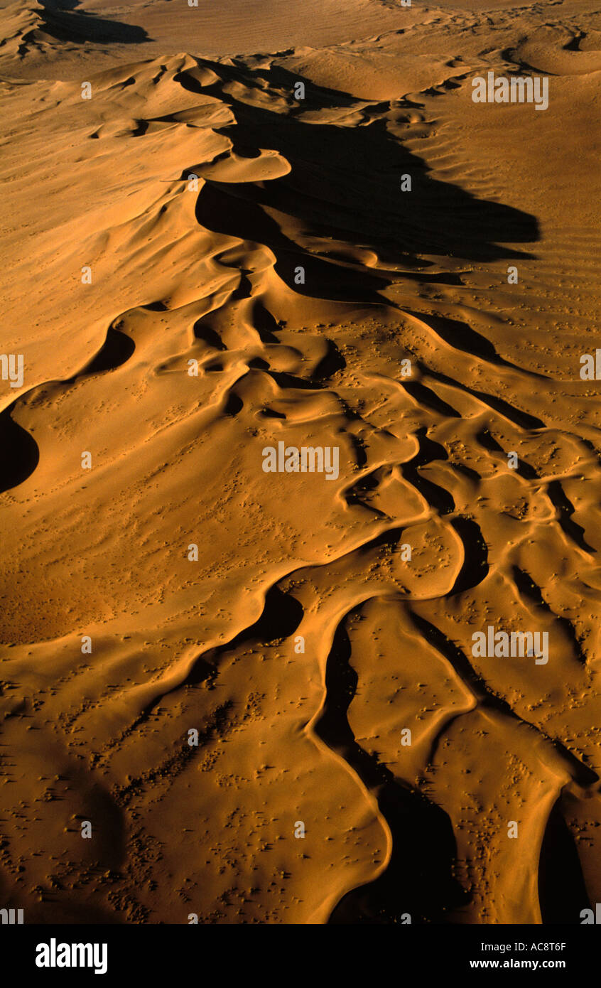 Shapes and curves of sand dunes Aerial photograph of the Namib Desert ...