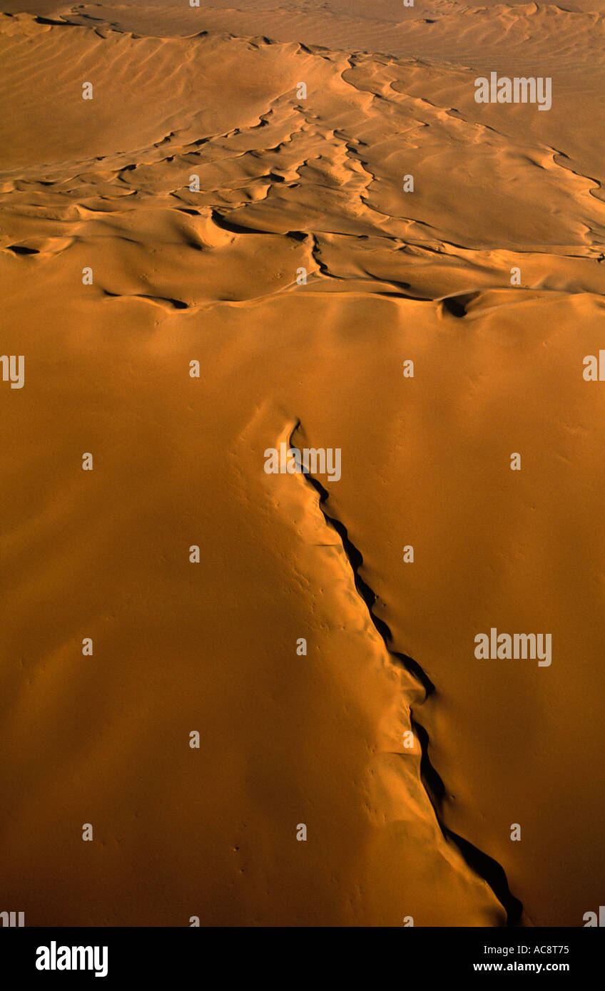 Shapes and curves of sand dunes Aerial photograph of the Namib Desert ...