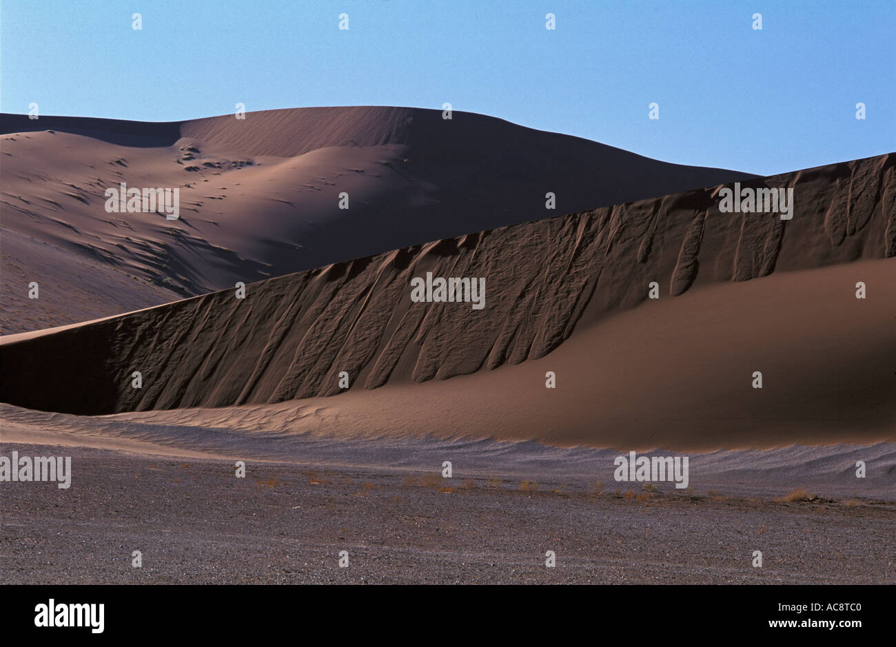 High sand dunes of the Namib Desert Namibia Stock Photo - Alamy